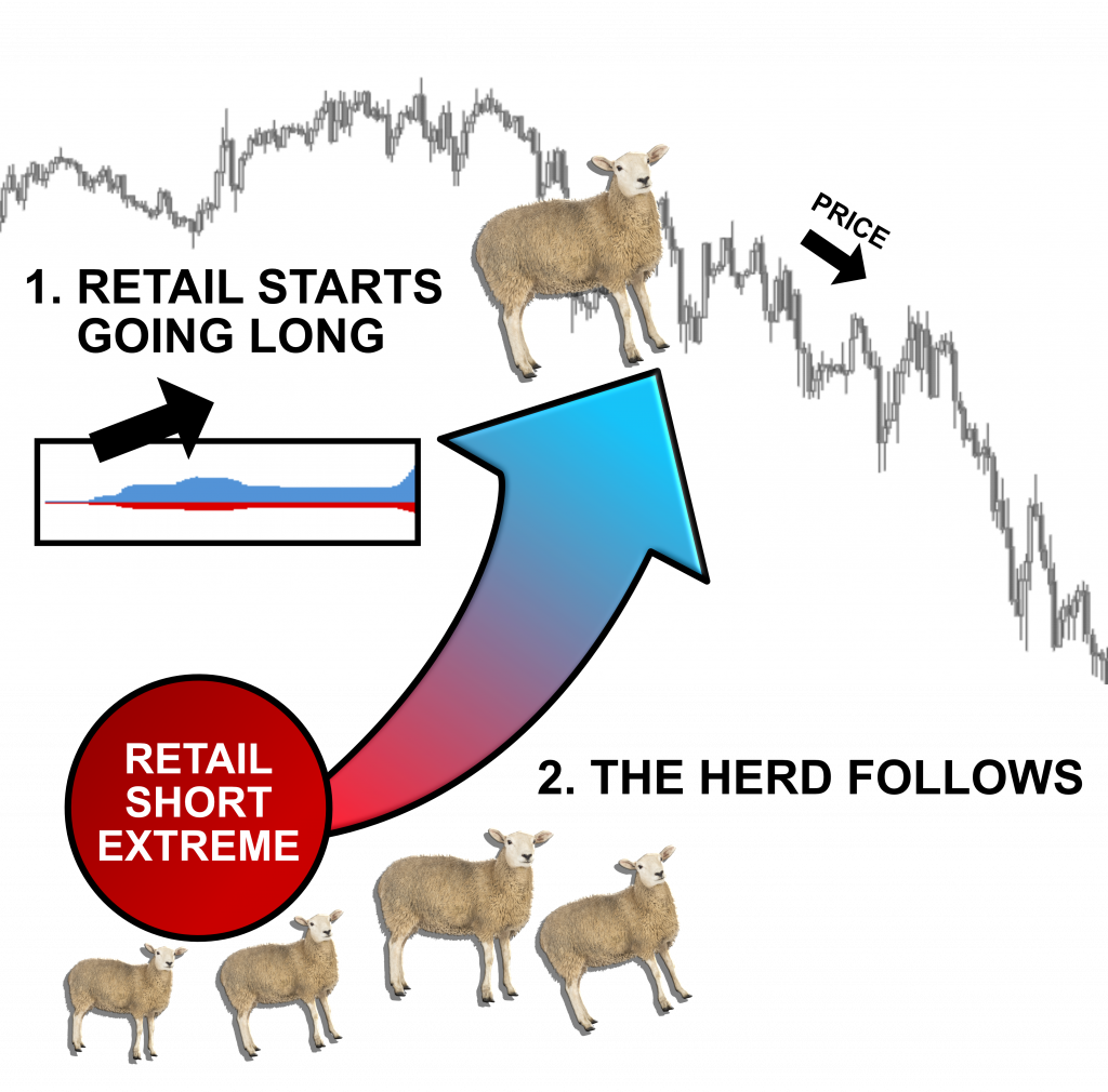 Sentiment Trading Quick Start Guide – SentiFX